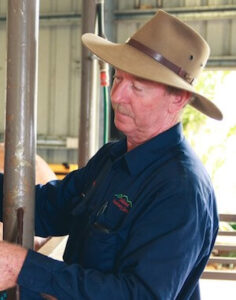 Tableland Veterinary Service - Malanda - Tableland Veterinary Service