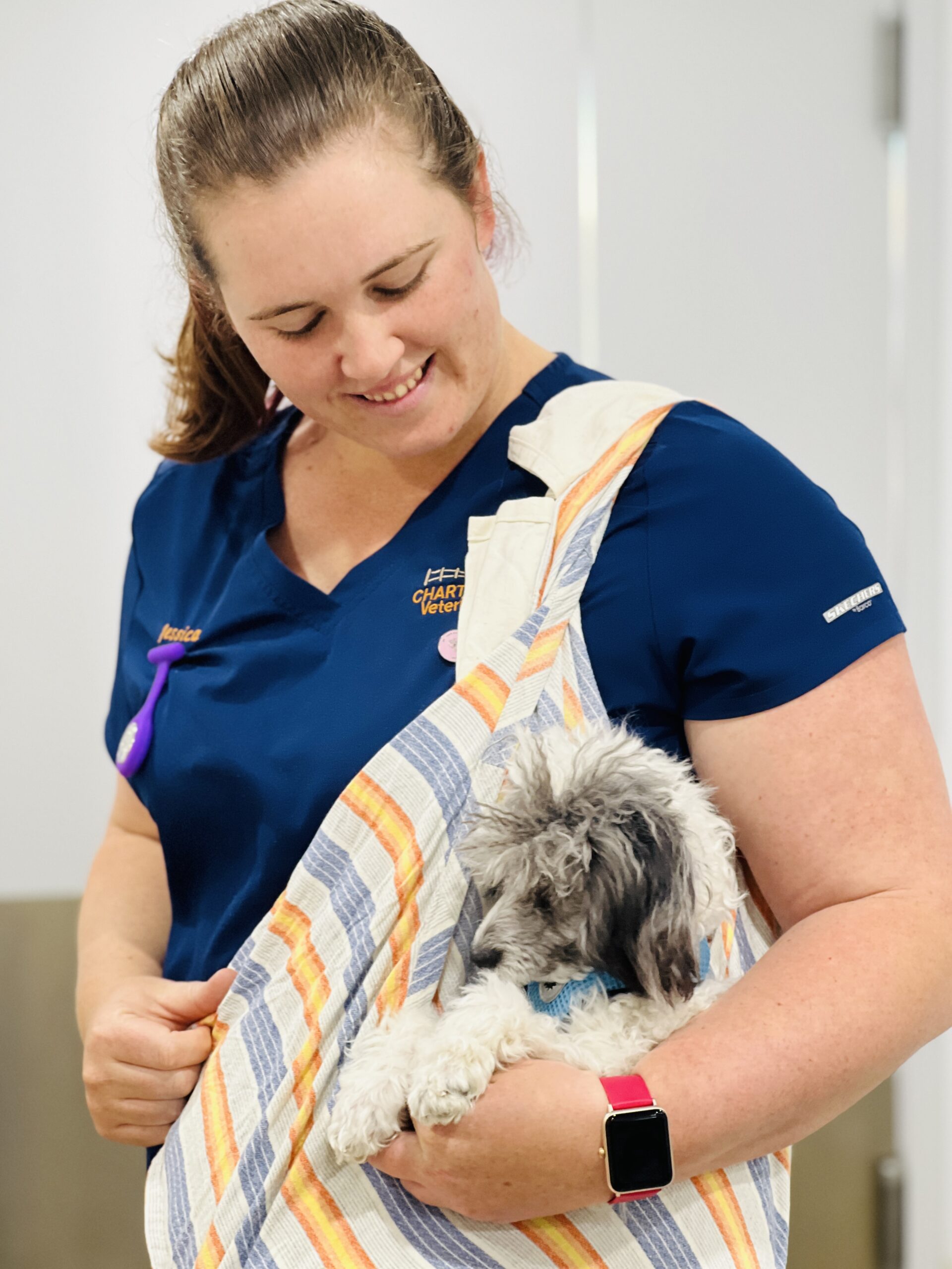 Charters Towers Veterinary Service - Tableland Veterinary Service